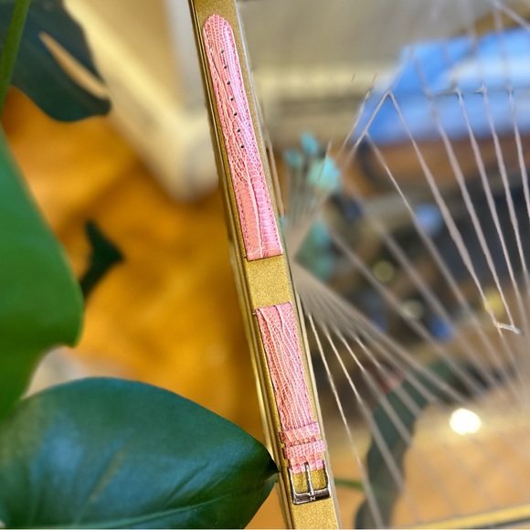 Skagen | Accessories | Nwot Skagen Denmark Pink Genuine Leather Watch ...